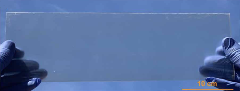 > Transparent wood, a new sustainable material | ARCHIVIBE